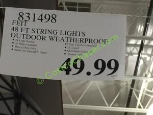 Feit Electric 48 Ft String Lights Outdoor Weatherproof – CostcoChaser