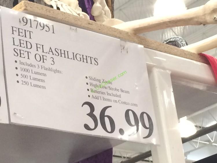 Feit LED Flashlight Kit 1000 Lumens 3-pack with case – CostcoChaser