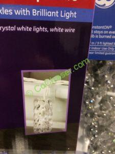 GE 19 Count Twinkling LED Molded Icicle Lights – Costco Chaser