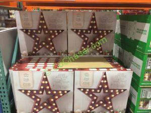 LED Metal Marquee Illuminated Star – Costco Chaser