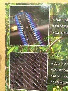 Capt N Cook 5-Burner LP Gas Grill with Side Burner – CostcoChaser