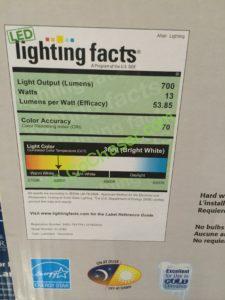 Altair Outdoor Saving LED Lantern, Model# AL-2163 – CostcoChaser