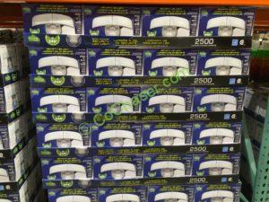 HomeZone LED Motion Sensor Security Light – CostcoChaser