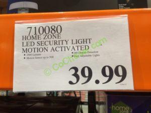 HomeZone LED Motion Sensor Security Light – CostcoChaser