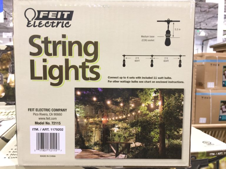 Costco-1179202-Feit-Electric-48Ft-Incandescent-String-Lights-size ...
