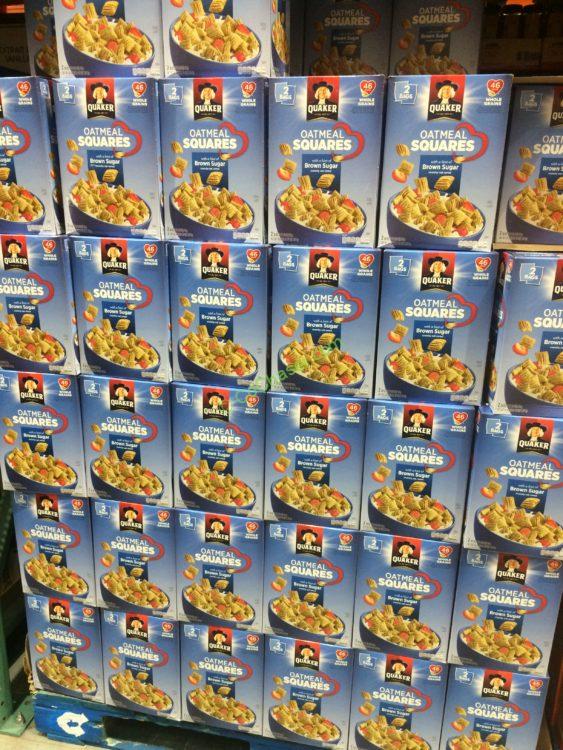 Quaker Toasted Oatmeal Square 58 Ounce Box – CostcoChaser