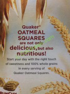 Quaker Toasted Oatmeal Square 58 Ounce Box – CostcoChaser