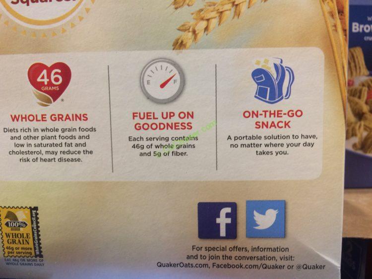 Quaker Toasted Oatmeal Square 58 Ounce Box – CostcoChaser