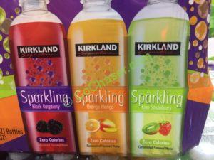 Kirkland Signature Sparkling Flavored Water 24/17 Oz Bottles – Costco Chaser