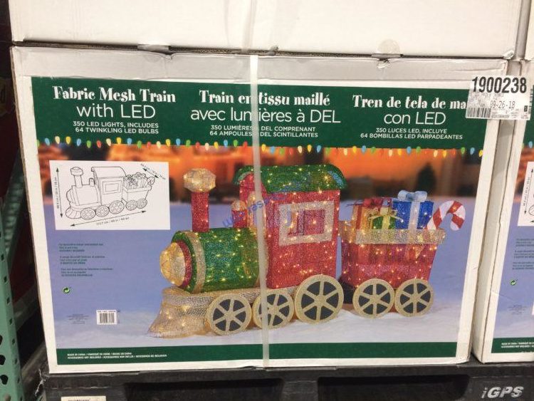 Fabric Mesh Train with LED Twinkle Light – Costco Chaser