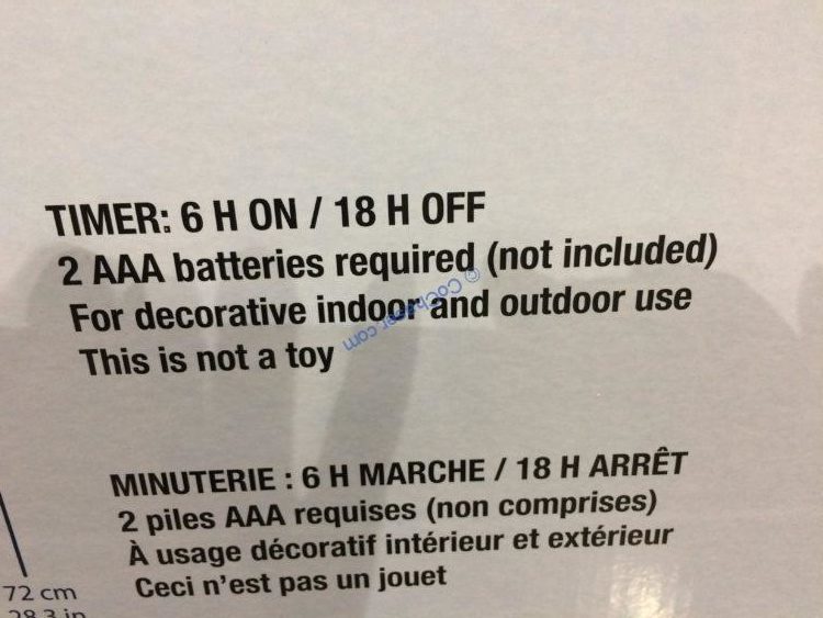 Costco-1900246-Polar-Bear-Greeter-with-LED-Lantern-inf1 – Costco Chaser