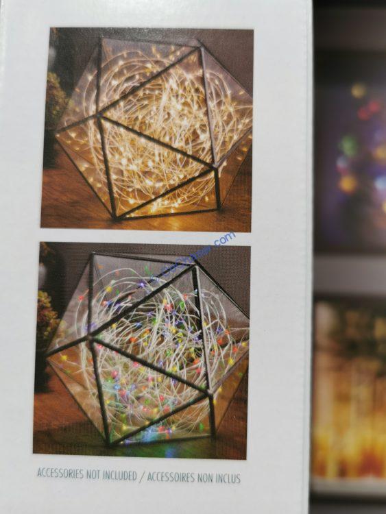 4PK LED Micro Lights Color Changing 50 LED PER String – Costco Chaser