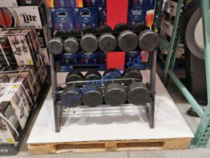 CAP Barbell 200 LB. Dumbbell Set with Rack, Model# SDR6BS-200R-US ...