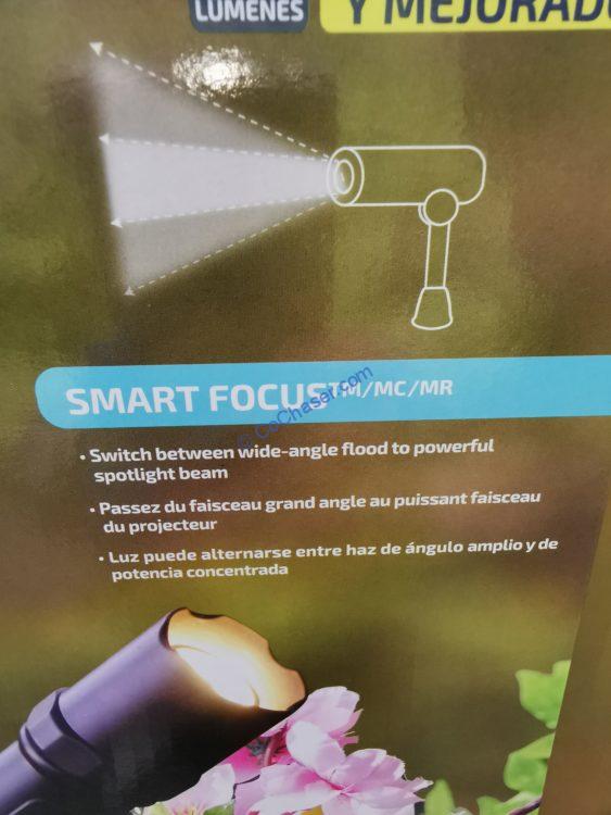 Alpan SmartYard Solar LED Spotlight, 2PK – CostcoChaser