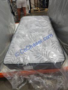 Sealy Keyes Twin Mattress only – CostcoChaser