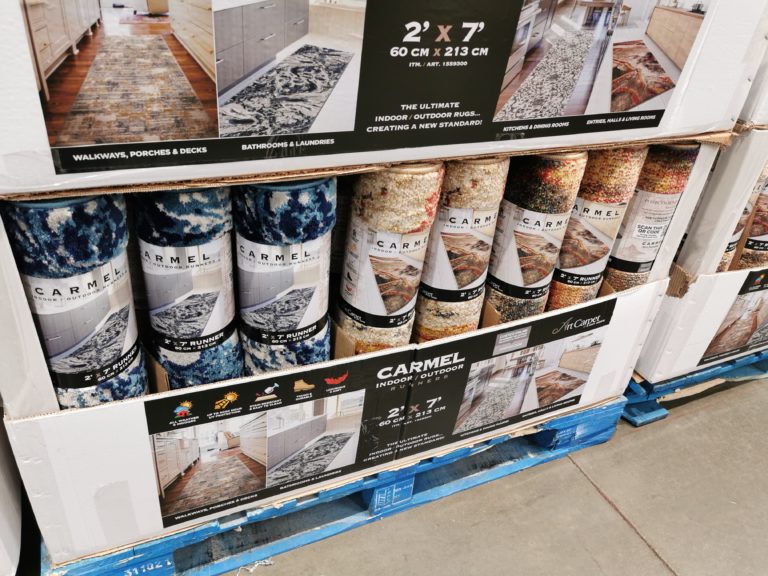 Carmel Indoor / Outdoor 2’ x 7’ Runner – CostcoChaser