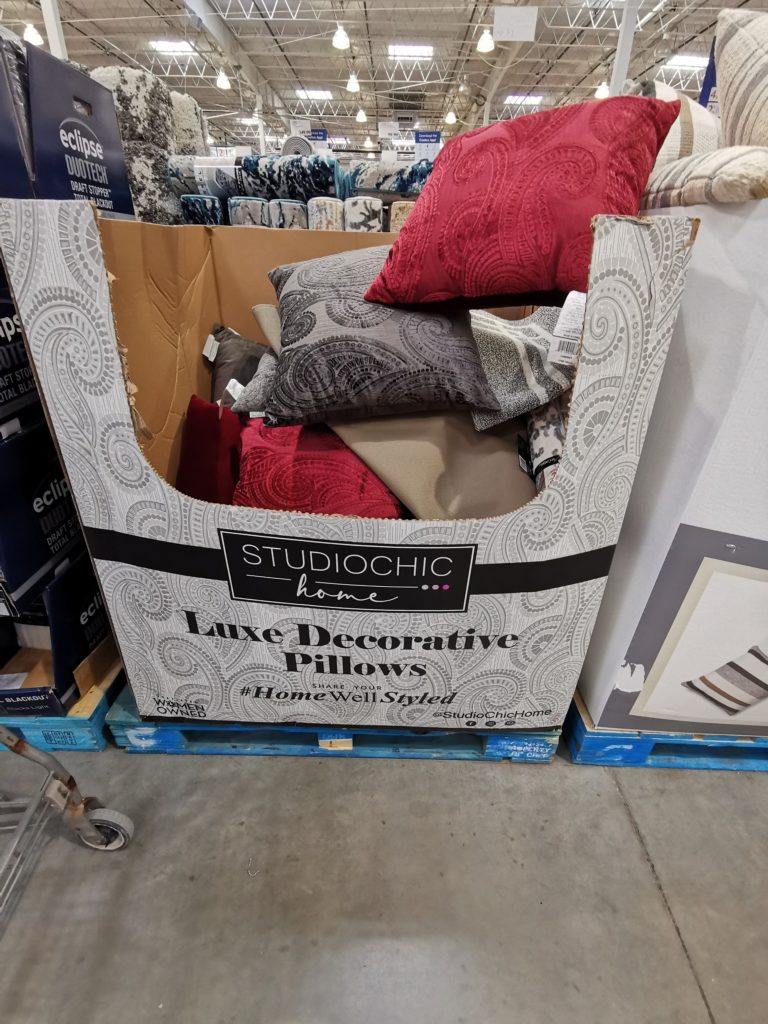 Studio Chic Penelope Décor Pillow 24” x 24” – CostcoChaser