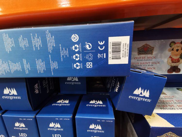 Costco-1476158-Evergreen-39-LED-Birch-Branch-bar – Costco Chaser