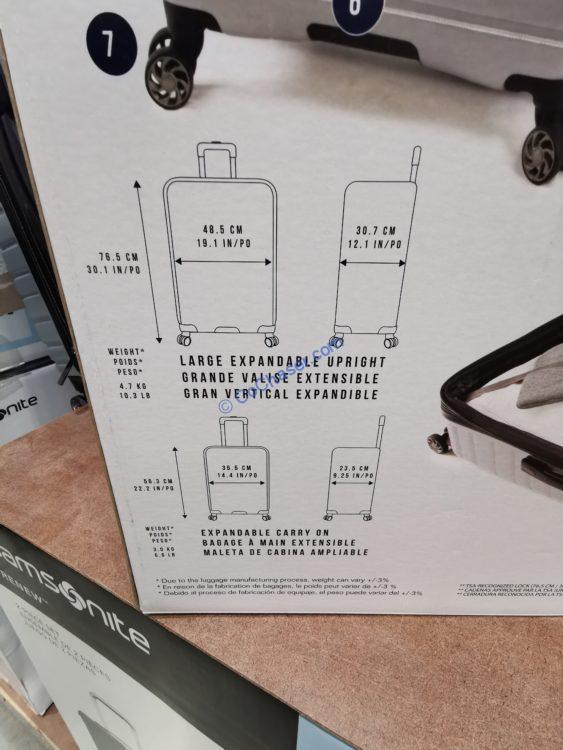 Costco-2622126-Original-Penguin-2PC-Hardside-Spinner-Luggage-Set-size ...