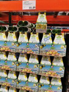 Costco-1495950-LIMMI-Organic-Lemon-Juice-all – CostcoChaser