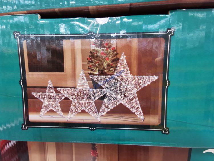 Stars with LED Lights, Set of 3 – Costco Chaser