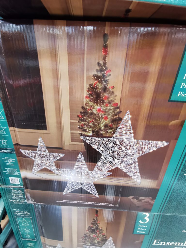 Costco-1601255-Stars-with-LED-Lights-Set3 – CostcoChaser