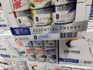 Celsius Sparkling Vibe Variety Pack 18/12 Ounce Cans – CostcoChaser
