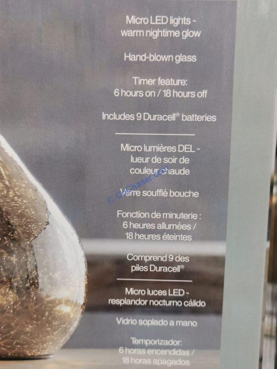 Costco-1759342-Evergreen-LED-Glass-Raindrop4 – Costco Chaser